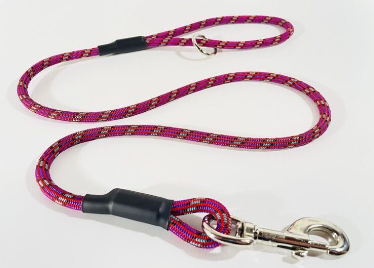 Ropes For Rescues | Jill's Next Door